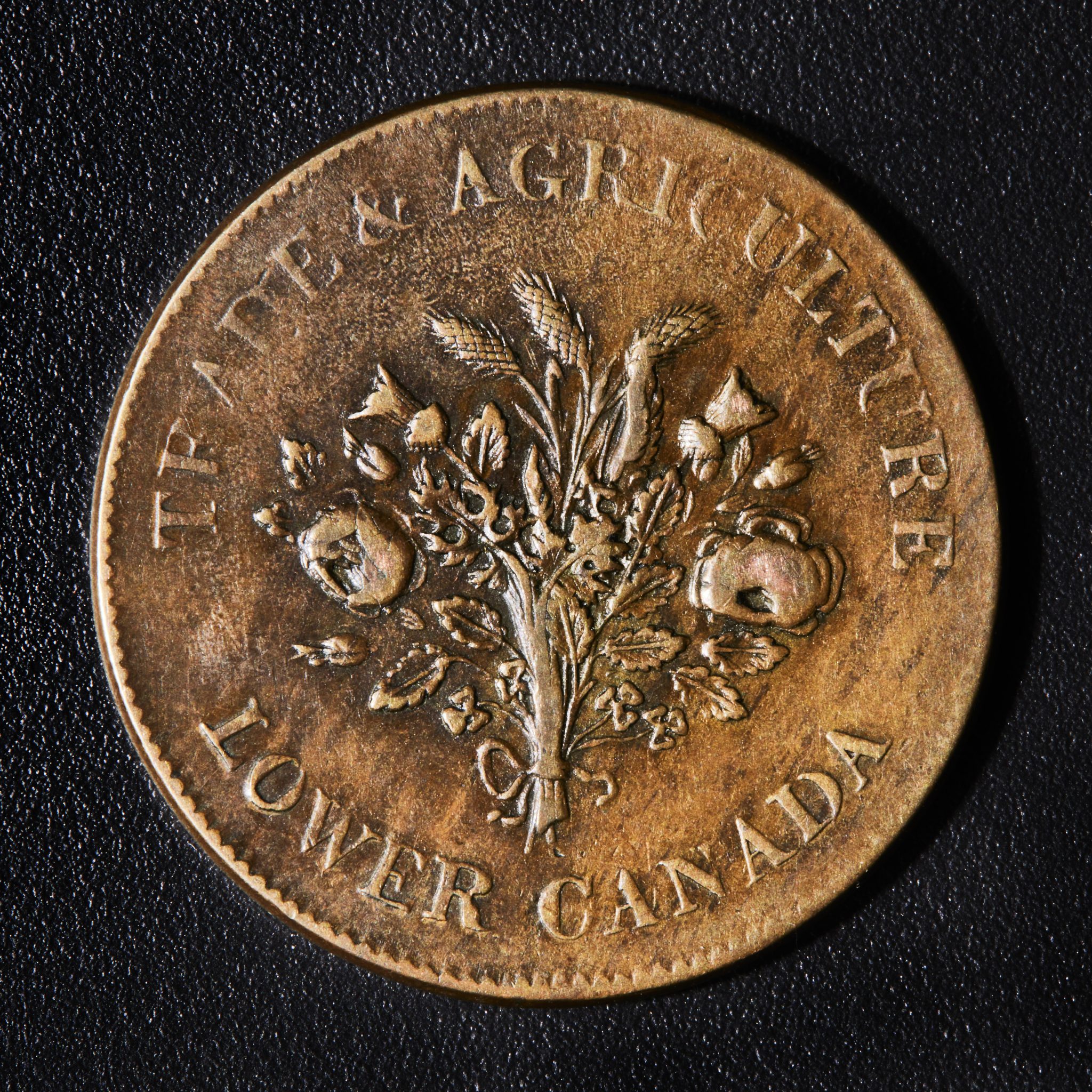 BMO and agriculture – BMO