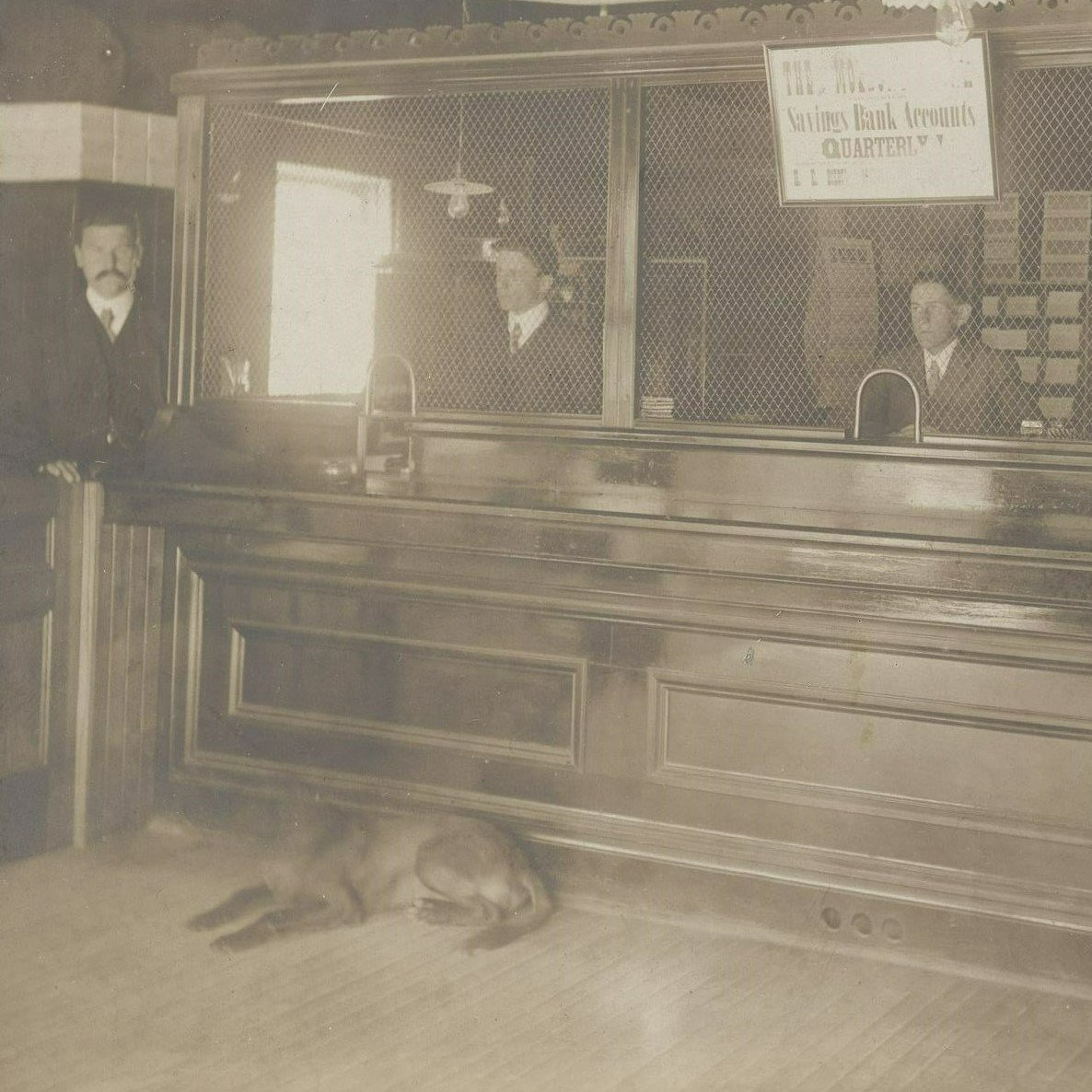Bank’s best friend – BMO