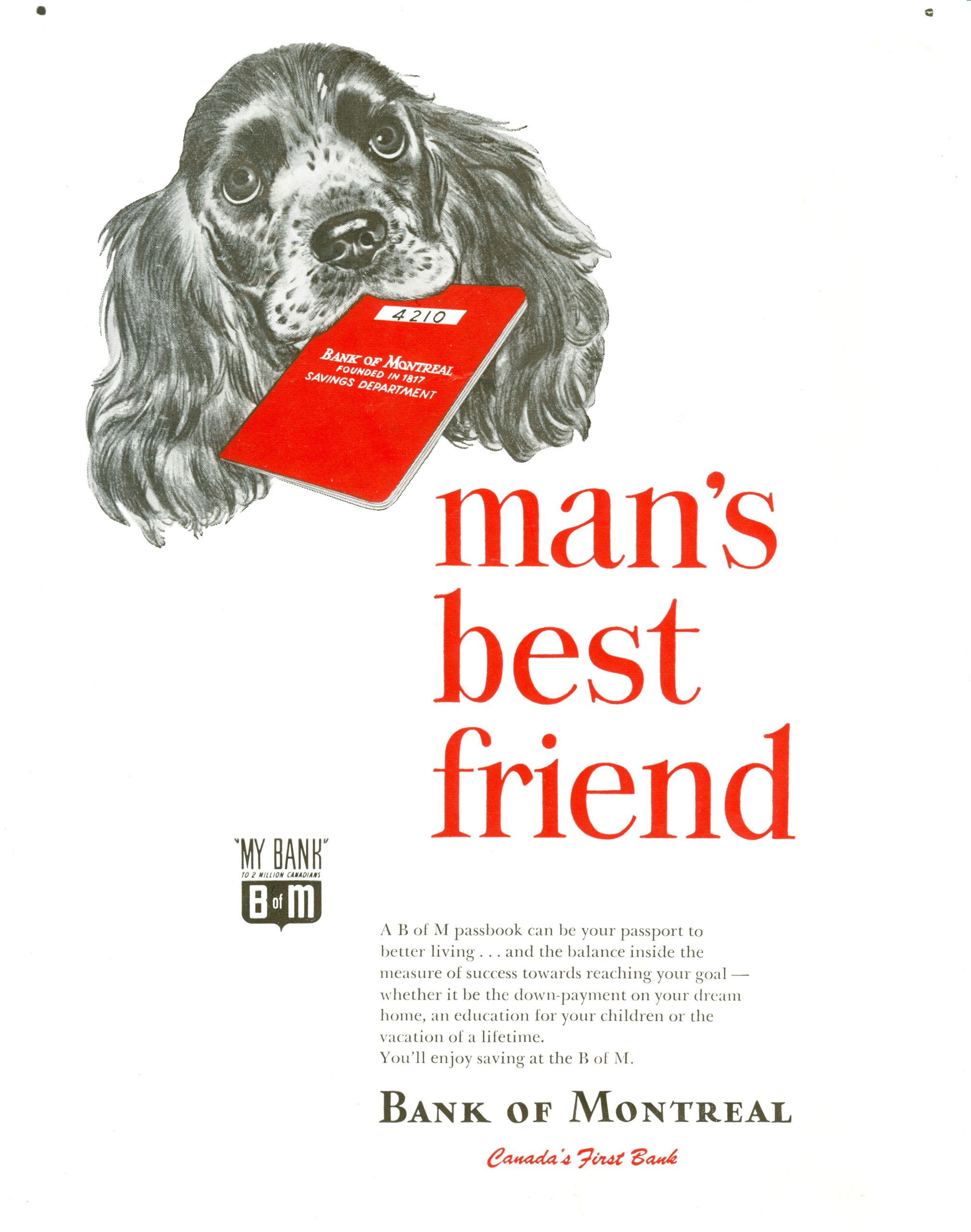 Your best friend – BMO